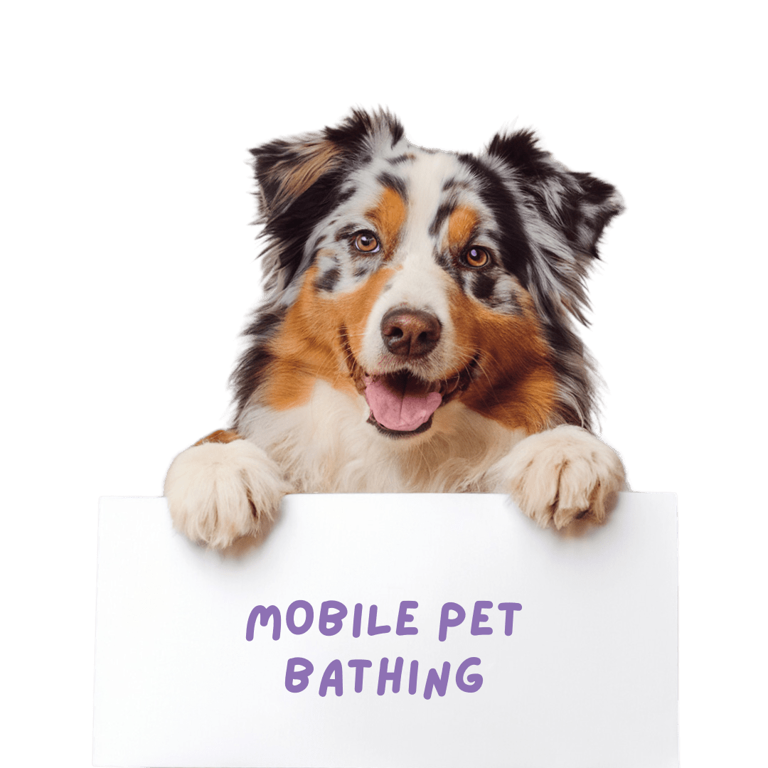Chicago GROOMBAR – Pet Grooming – Mobile & Salons