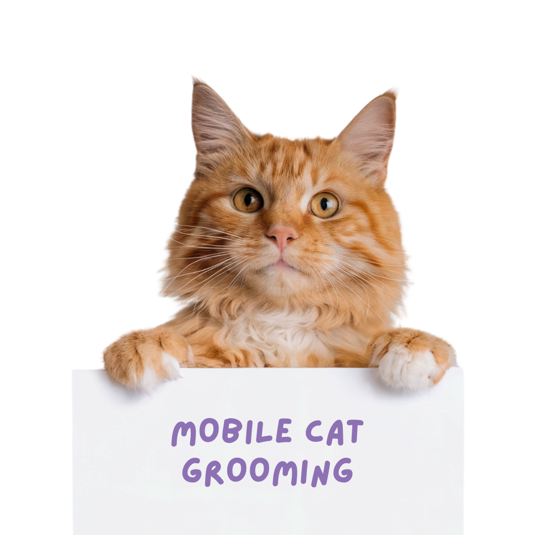 Chicago GROOMBAR – Pet Grooming – Mobile & Salons